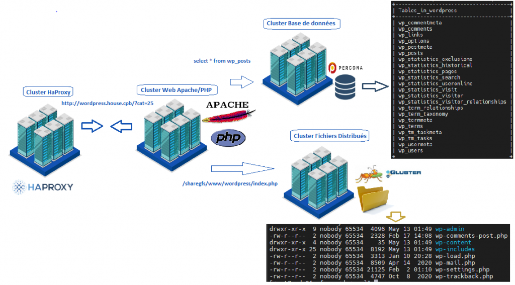 MODOP – PARTIE 6 – Installation WordPress sur les Clusters ...